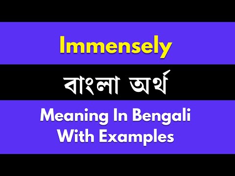 Immensely Meaning In Bengali/Immensely শব্দের বাংলা ভাষায় অর্থ অথবা মানে কি
