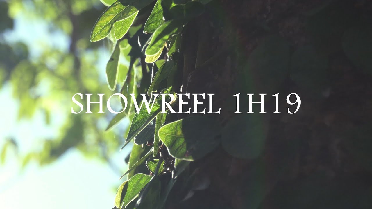 VALOGA - Showreel  1H19