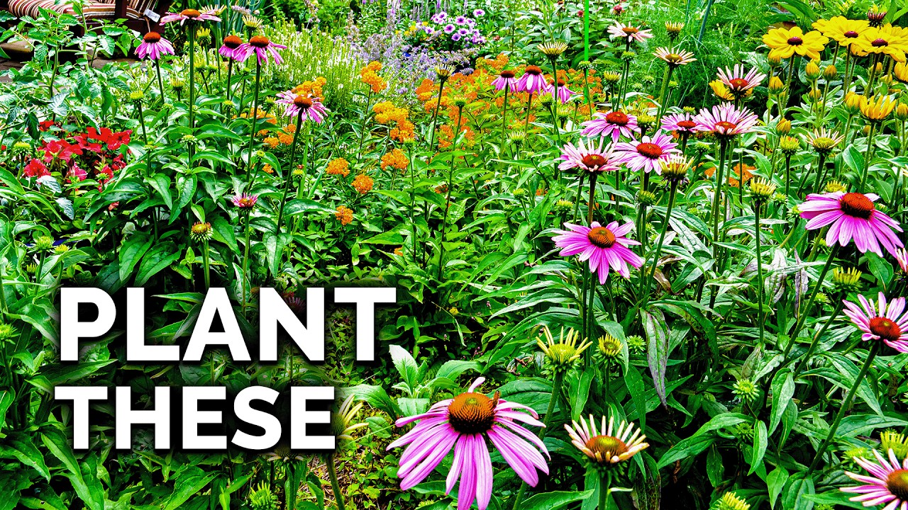 How to Plant a Pollinator Garden