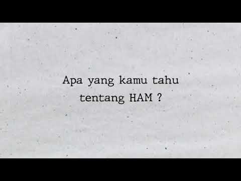 Apa itu HAM?