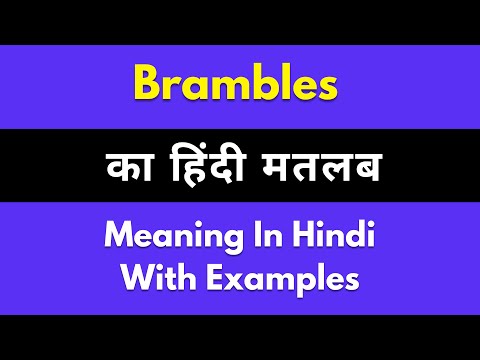 Brambles Meaning in Hindi/Brambles का अर्थ या मतलब क्या होता है