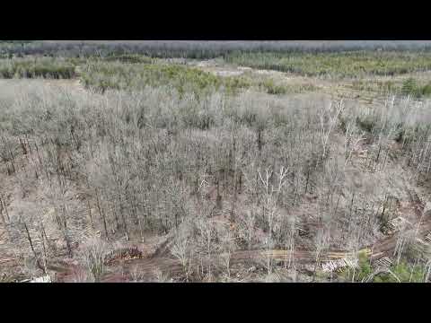 Michigan hunting lease now available on HLRBO!