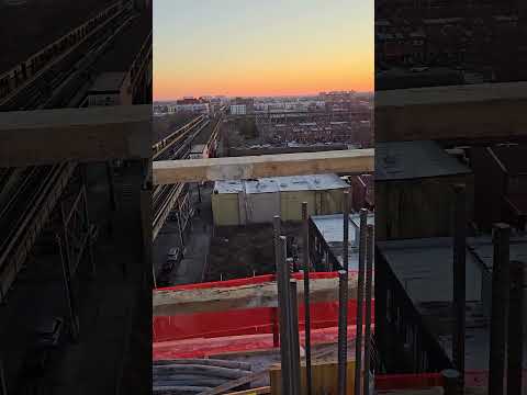 Life as a Native New Yorker