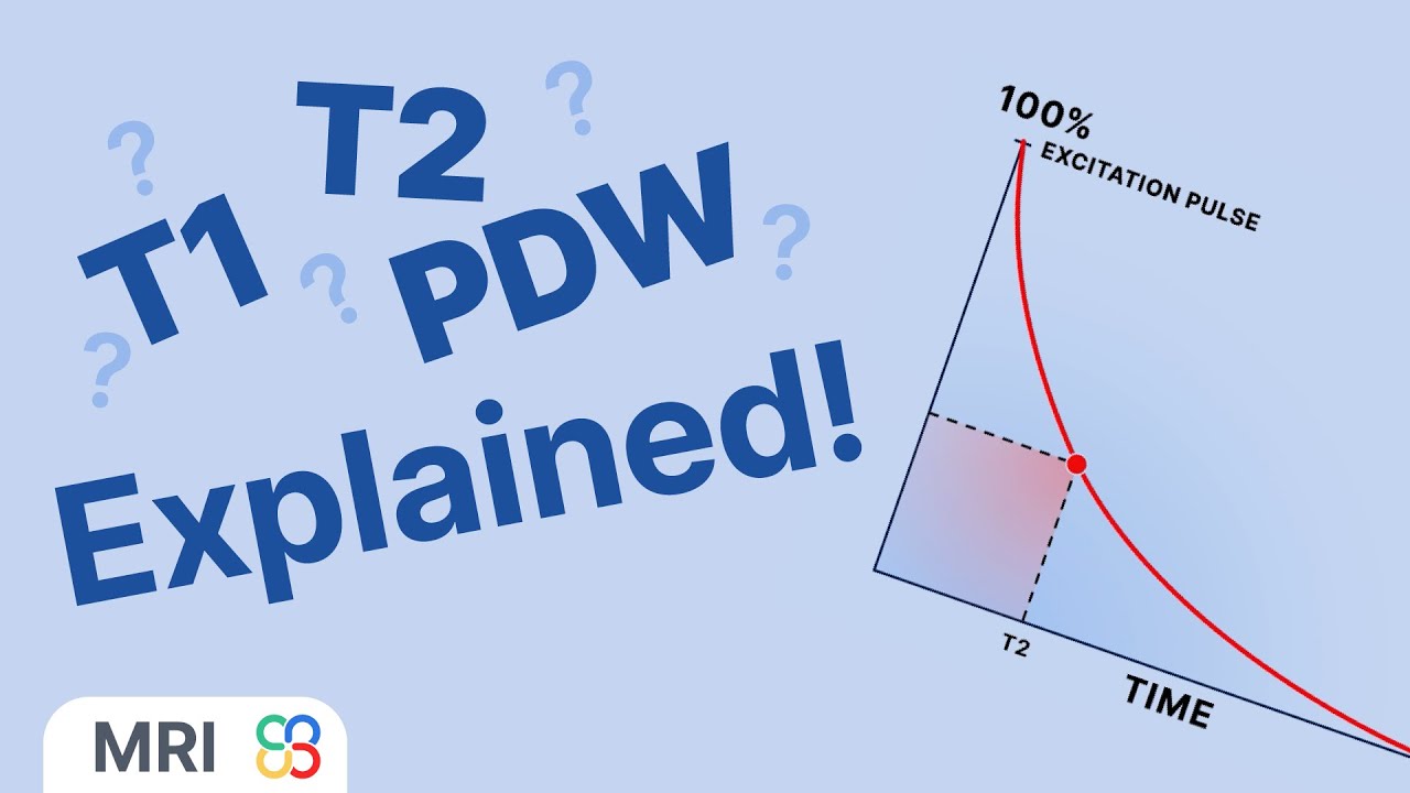T1, T2 and Proton Density Weighting explained - MRI physics