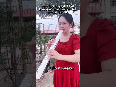 Sunrise Melody M3 EWI electronic wind instrument sound display, one of the 66 sounds