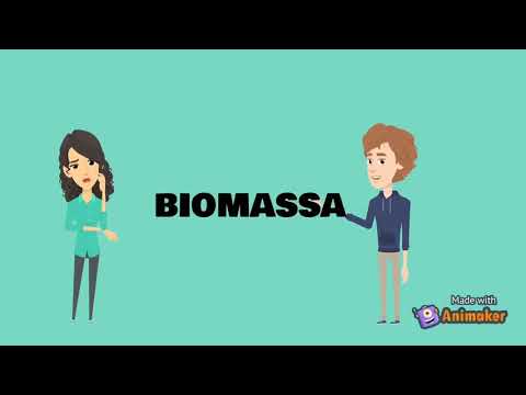 VIRAL!!! APA ITU BIOMASSA