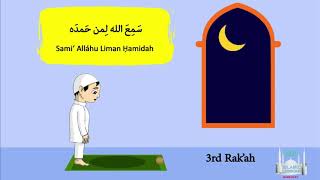 Kids Corner | Najasah & Taharah - What Are The Pure And Impure Things ...