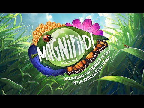6-8-25 Magnify - VBS Gospel Message