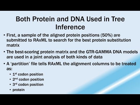 Introduction to the Bacterial Genome Tree service