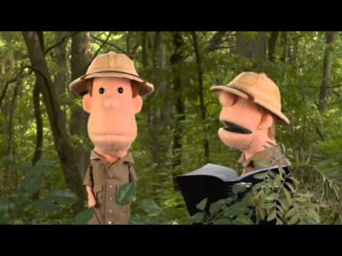 Trailer for DVD 3: Wanderin' in the Desert [Leviticus, Numbers and Deuteronomy]