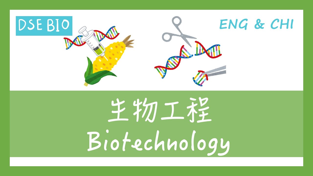 [DSE生物 - 課文重點] 13分鐘講完【生物工程 Biotechnology】！
