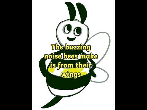 Fun Facts About Bees