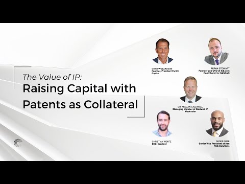 The Value of IP: Raising Capital With Patents As Collateral