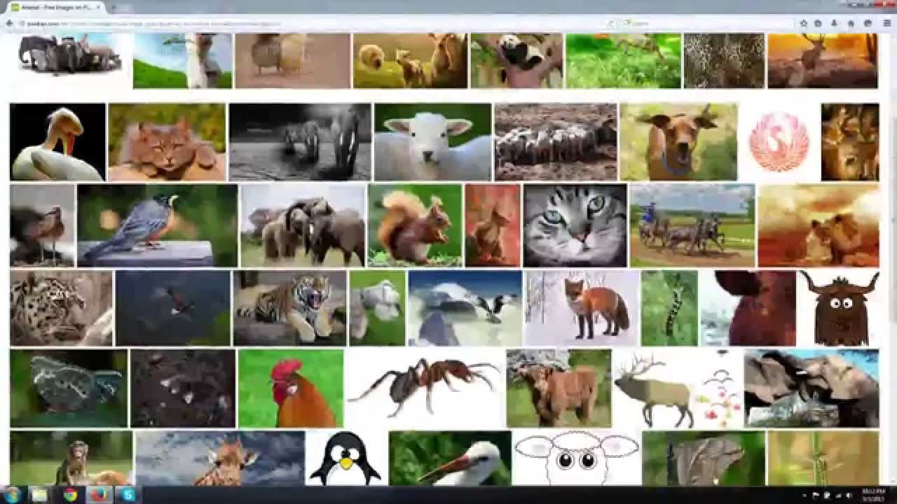 TUTORIAL: Where to Find the Best Creative Commons, Public Domain, and Royalty Free Images