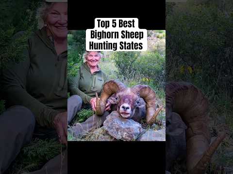 Top 5 Trophy Big Horn Sheep States #bighornsheep #hunting #foryou #roadto10k #jesus #subscribe