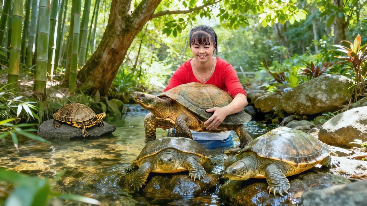 Bushcraft Adventures: Catch a 1000kg Turtle!