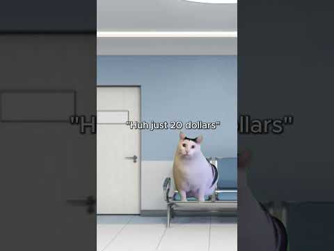 CAT MEMES ๐ฑ When you have superpower... #catmemes #relatable When your girlfriend looks like a teen