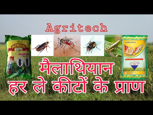 Insecticides - Fipru Fipronil 0.03% GR Insecticide Manufacturer from ...