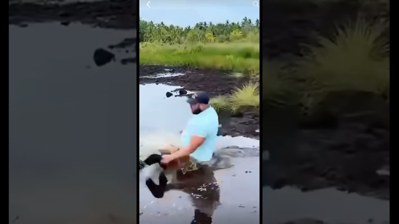 Gravity Had Other Plans! 😂 Funniest Falls & Fails Compilation 2025 #viral #funnyshorts