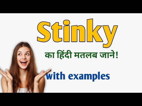Stinky ka matlab kya hai hindi me|stainky ka matlab kya hai|stinky meaning in hindi|stinky ka hindi