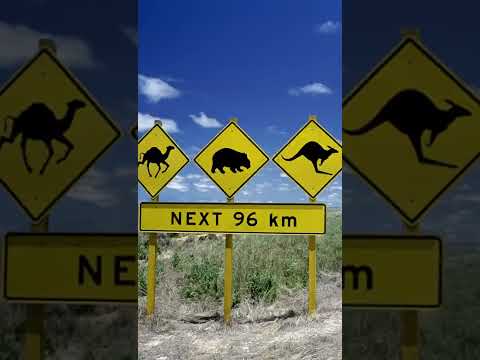 Study in Australia # Study Abroad # Think Big Global education solutions Pvt LTD
