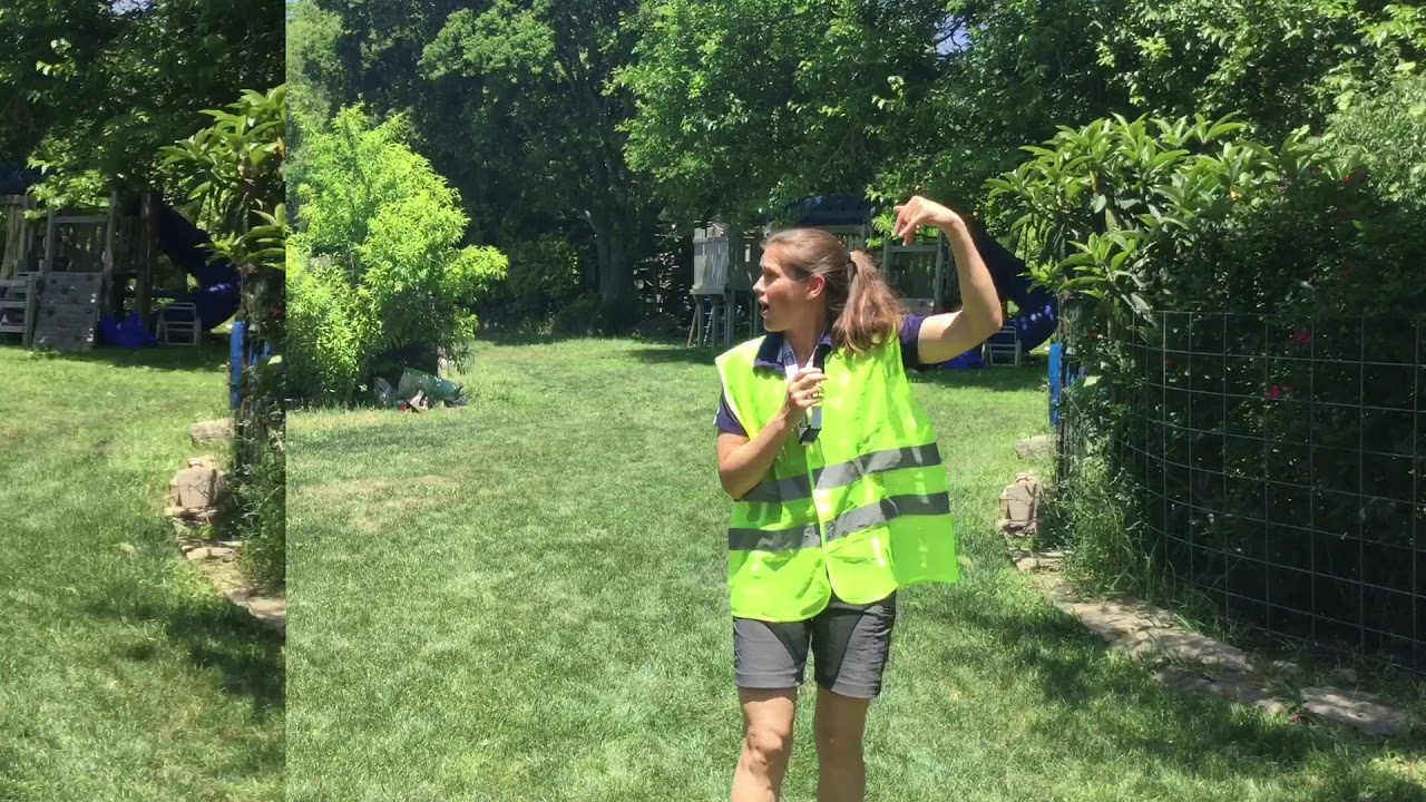 Weekly PE Assignment #6