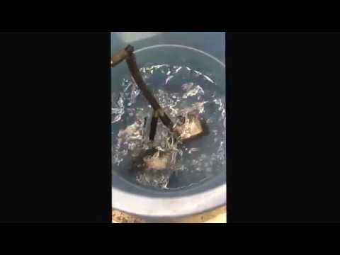 3 bar GM style MAP sensor failures