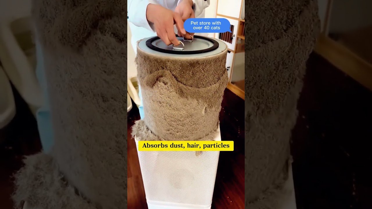 Best Air Purifiers of 2025