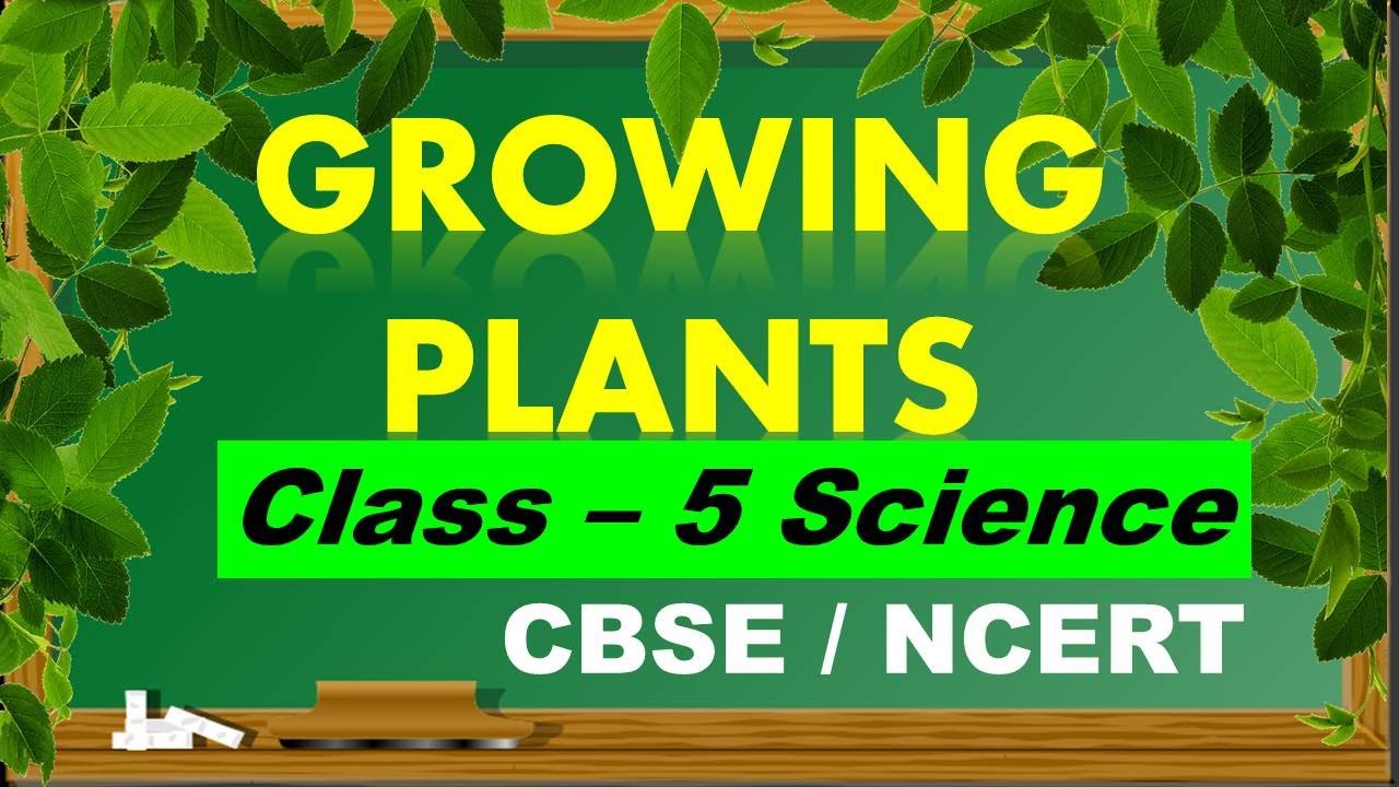 Class-5 CBSE Science|| Growing 🌱Plants|| Chapter-1| NCERT Solutions ||with worksheet link in desc.