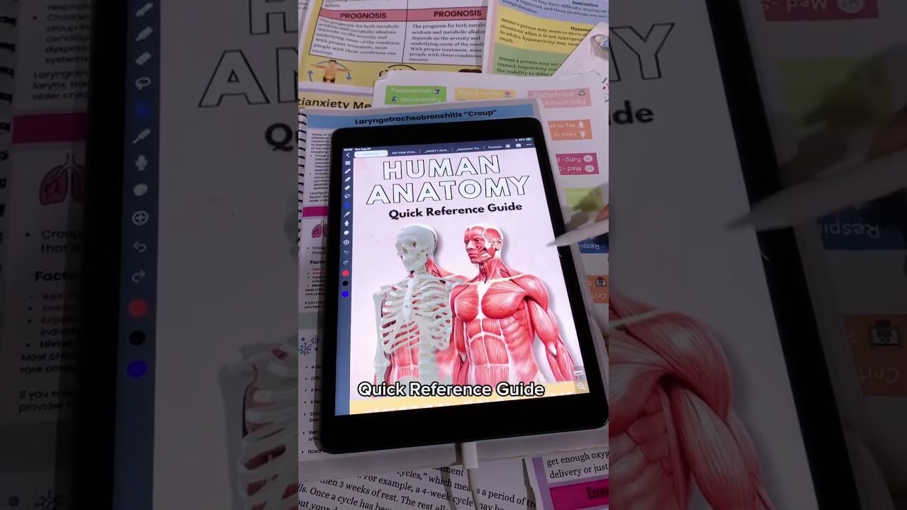 Human Anatomy & Quick Reference Guide | Skeleton, Skull & Body Systems 3D