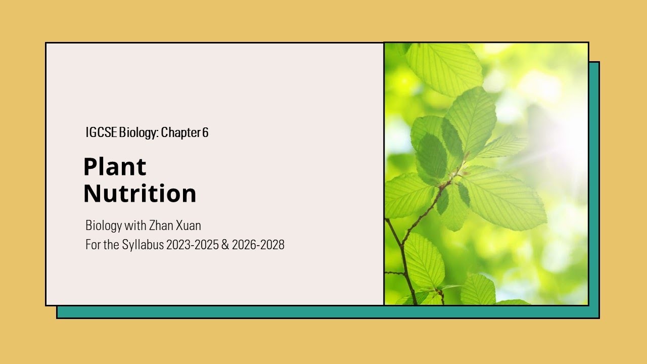 Understanding Plant Nutrition: Photosynthesis and Leaf Structure in ...