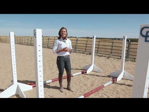 Trot and Poles: How to Use Pole Work to Improve Your Horse's Trot