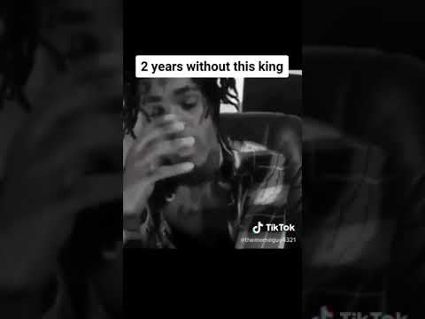 X talks about what bad vibes means