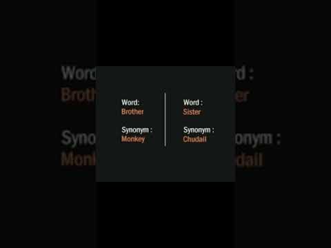 The Synonyms Of Brother And Sister 😜😜