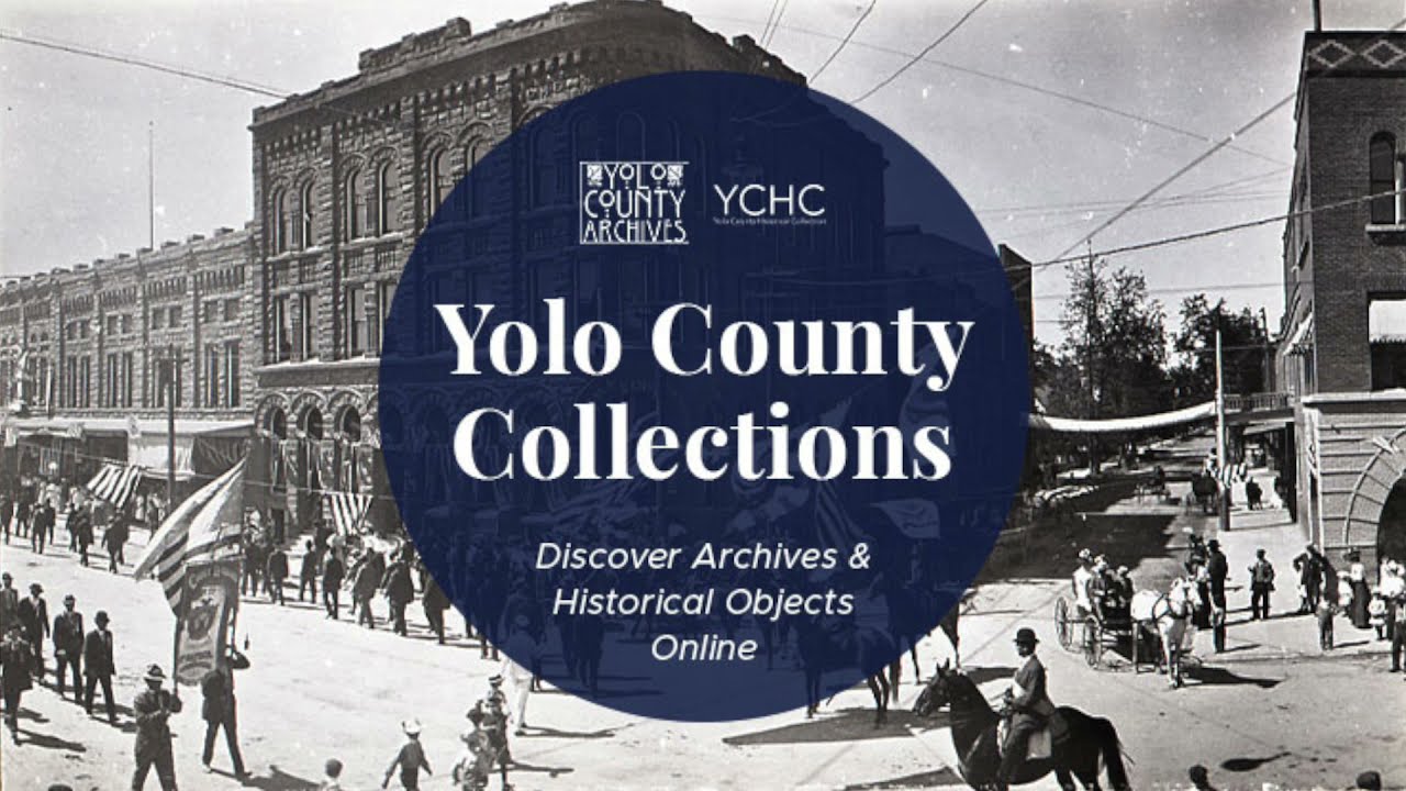 How To: Simple Search in Axiell