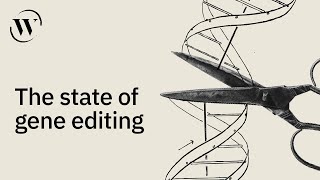 Learn English through Video Why gene editing is still humanity’s most ...