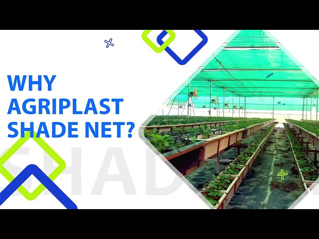 Nursery Shade Nets - Nursery Shade Net Trader - Wholesaler ...