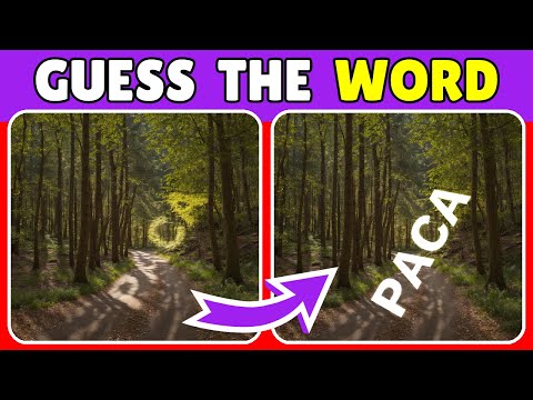 Can You See It? Word Hunt in Optical Illusions ๐๐๏ธโ๐จ๏ธ