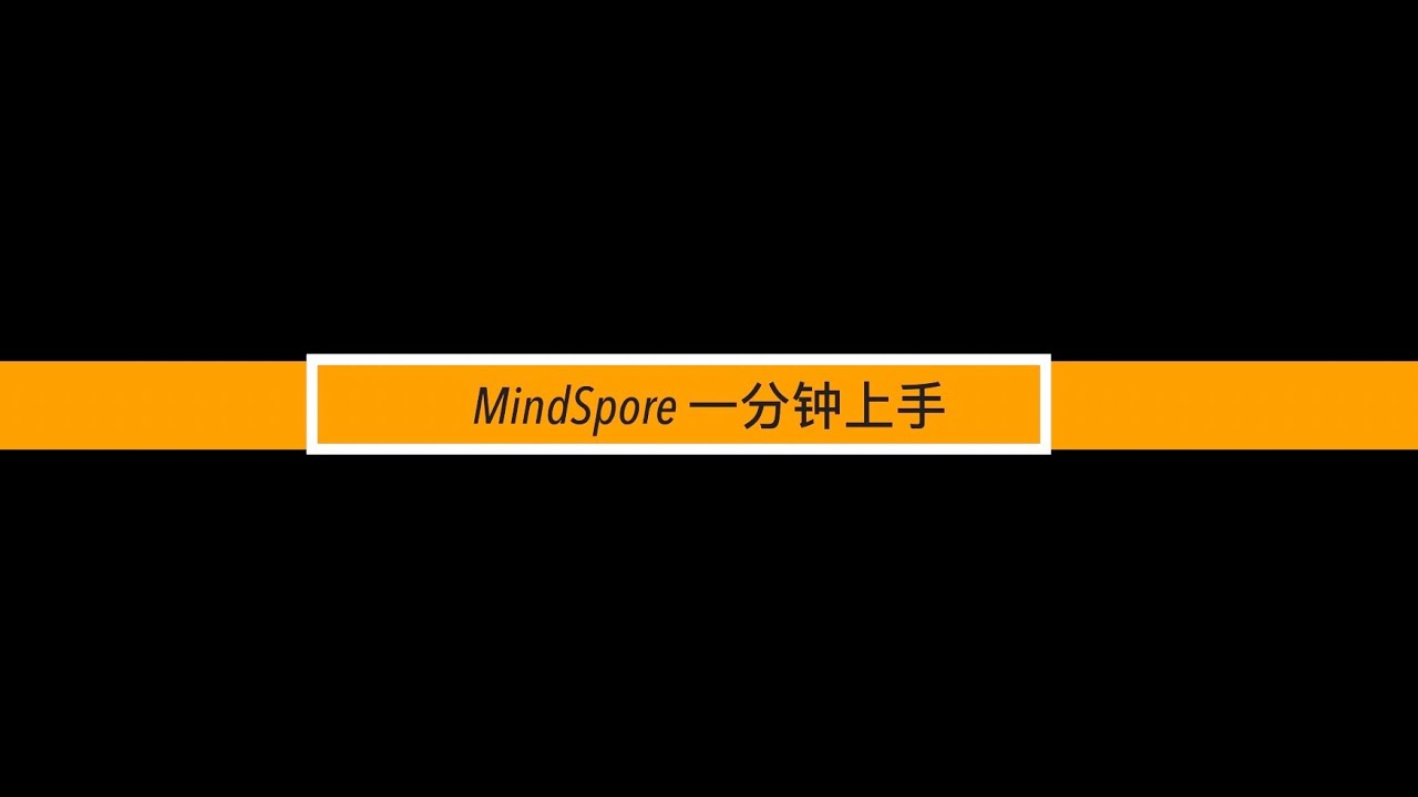 One Minute Quick Start about MindSpore
