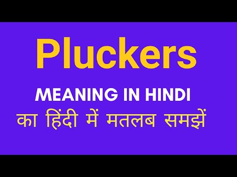 Pluckers ka hindi meaning l Pluckers ka english meaning l #pluckers