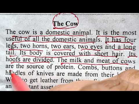 The cow paragraph | English paragraph on the cow with bangla meaning
