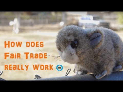 How Does Fair Trade Work?