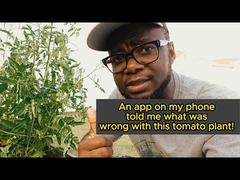 How AI is redefining crop disease diagnostics