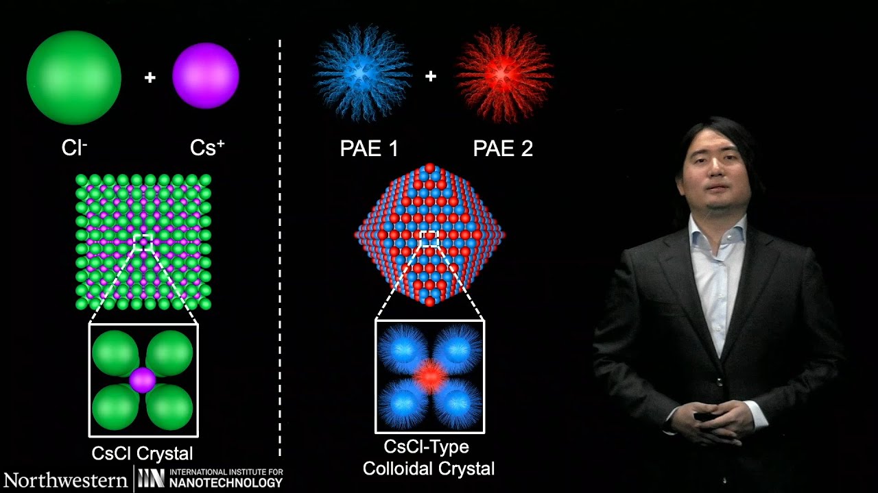 Wenjie Zhou on Colloidal Crystal Engineering with DNA