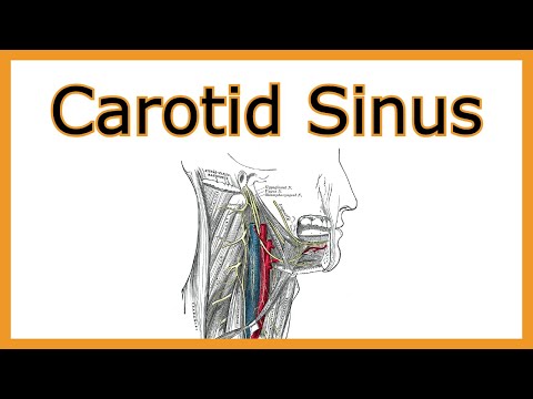 Carotid Sinus Hypersensitivity