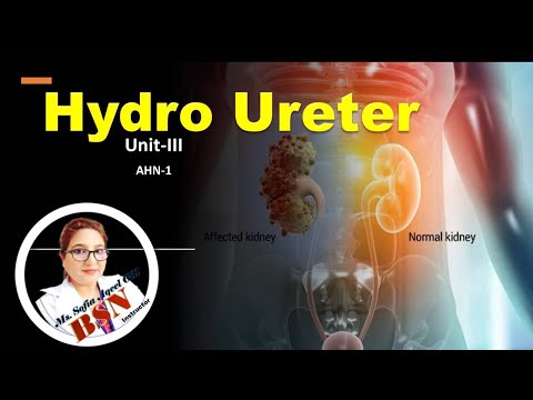Hydro ureter in Urdu & Hindi/ AHN-1 (BSN )