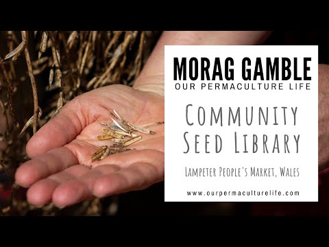 How to create a Community Seed Library. Morag Gamble at the Lampeter Seed Library, Wales