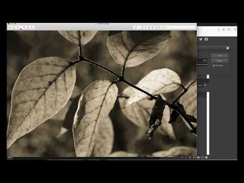 Photopea: Converting Images to Black & White