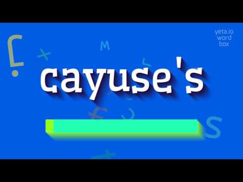How to say "cayuse's"! (High Quality Voices)
