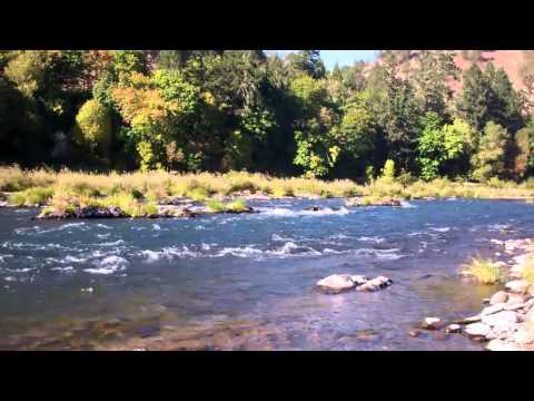 Whistler's Bend park, downstream, on 100112